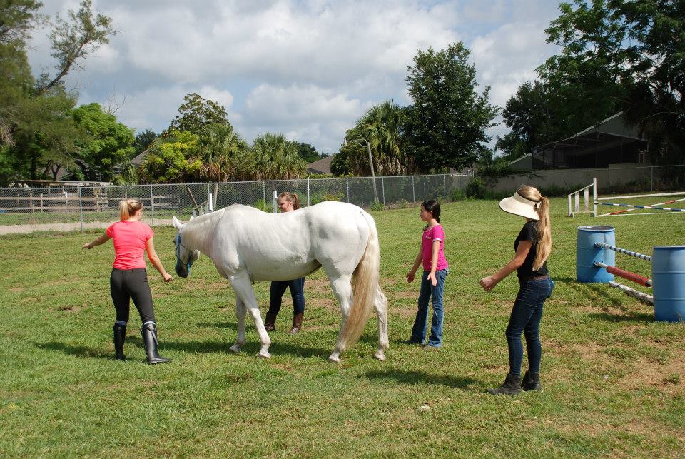 Equine Assisted Learning - Crossroads Corral